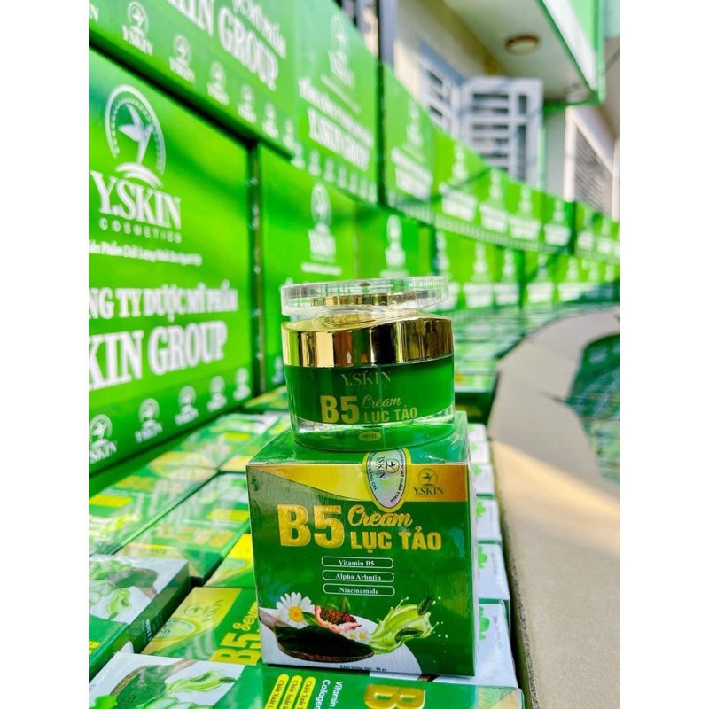 CREAM B5 LỤC TẢO Y SKIN | Shopee Việt Nam