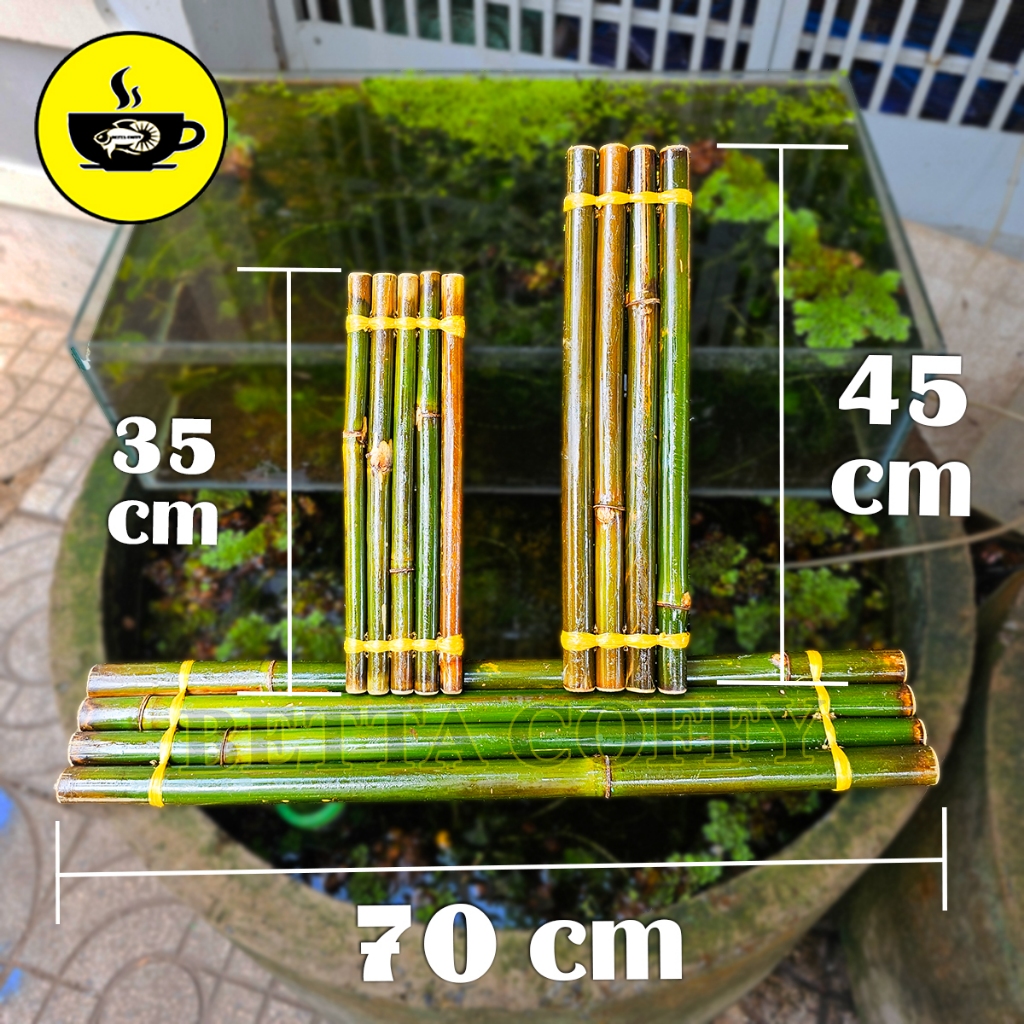 Phên tre thác nước trang trí bể cá hòn non bộ tiểu cảnh 35cm 45cm 70cm (Có phủ Sơn Bóng ...