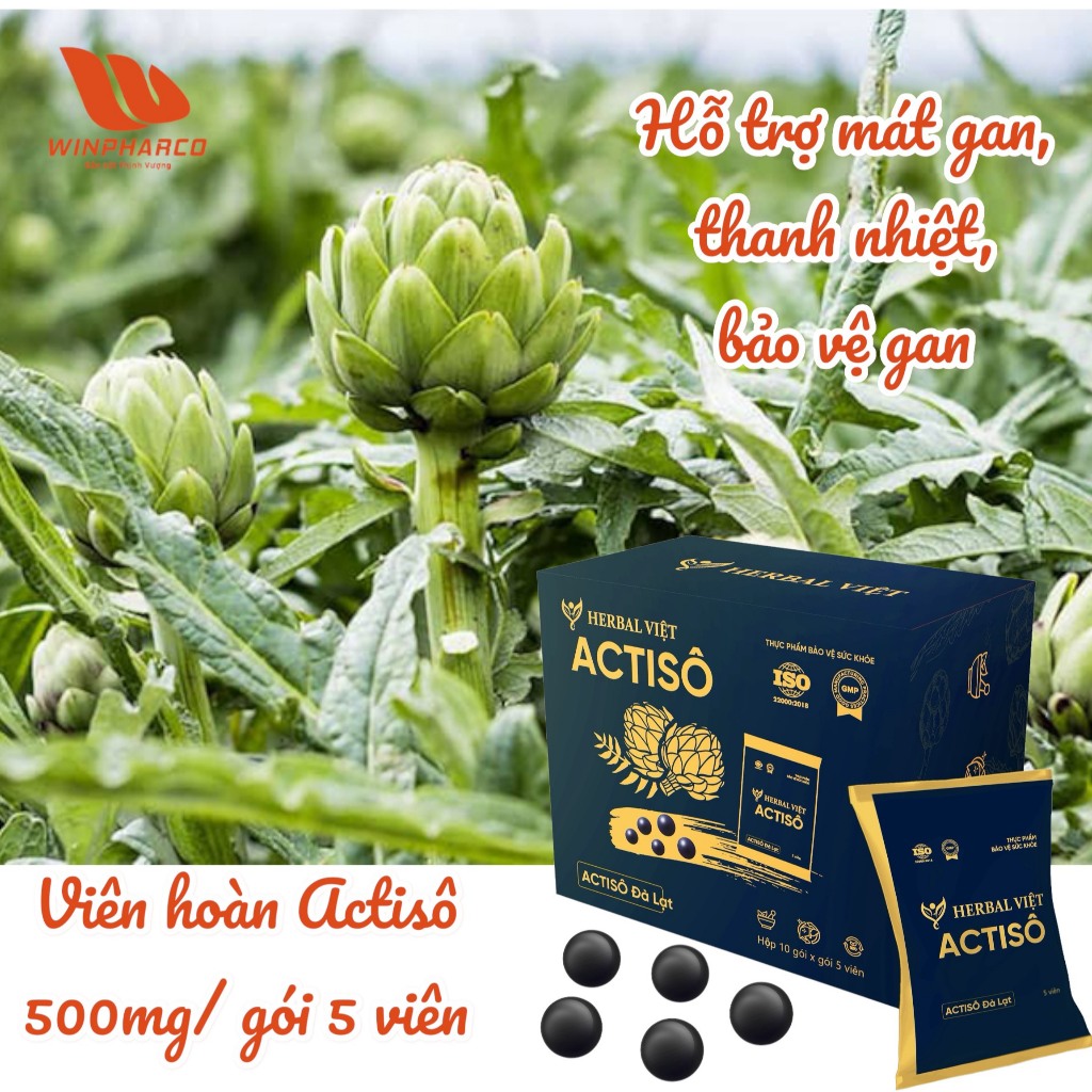 { 500mg Actisô } Viên Hoàn Actisô Herbal Việt Hỗ trợ tăng cường chức ...