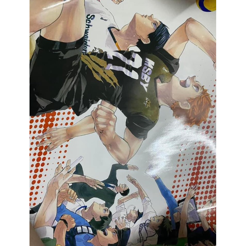[HaiKyuu] Poster Official 40x60 vol45 | Shopee Việt Nam
