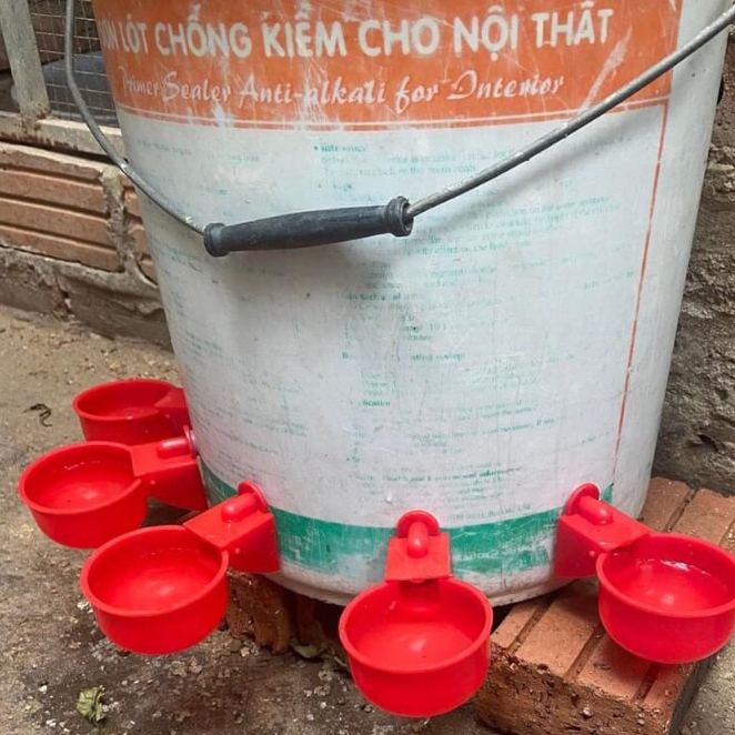Máng Uống Nước Tự Động Cho Gà Ngan Vịt Chim Dùng Hiệu Quả Sạch Sẽ ...