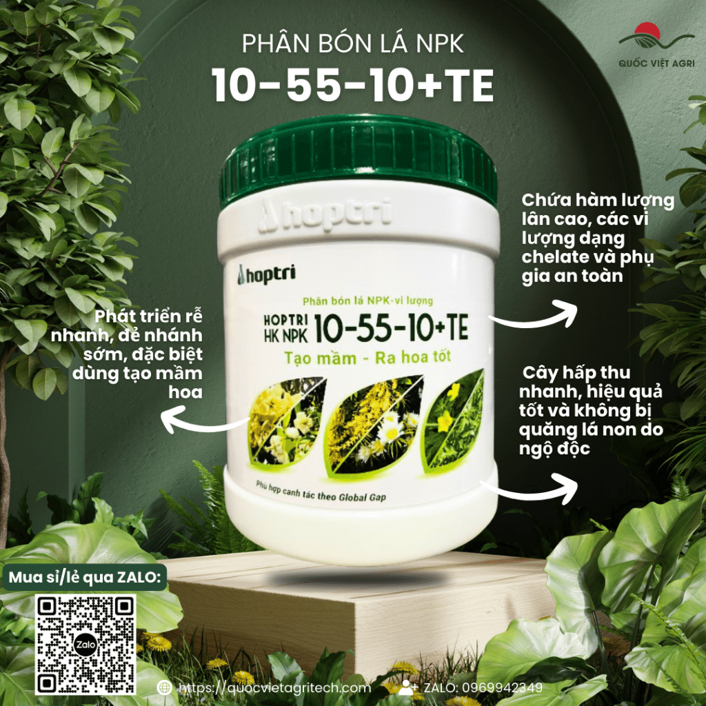 Phân Bón Lá NPK vi lượng HOPTRI HK NPK 10-55-10+TE - TẠO MẦM RA HOA TỐT ...