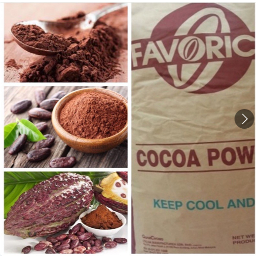 Bột Ca Cao nguyên chất Favorich Cocoa Powder 500 gam | Shopee Việt Nam