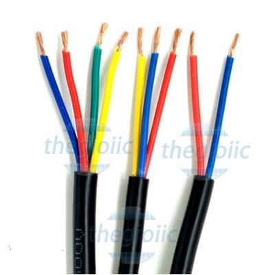 Dây Cáp Đồng 2 Lõi RVV-2x0.2 0.2mm2 Vỏ PVC | Shopee Việt Nam