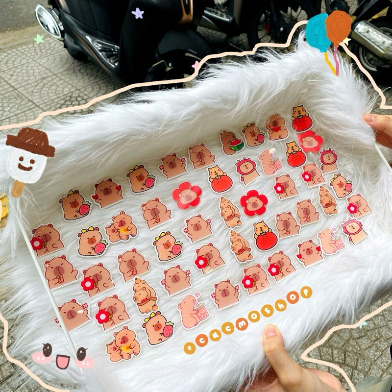 Huy hiệu capybara | Shopee Việt Nam