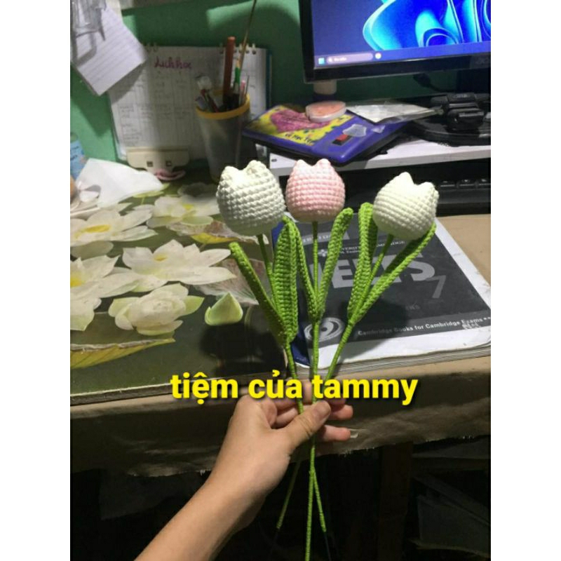hoa tulip len | Shopee Việt Nam