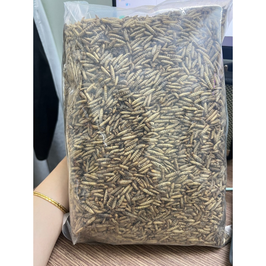 Sâu canxi sấy khô 100g-200g Áu trùng ruồi Lính đen | Shopee Việt Nam