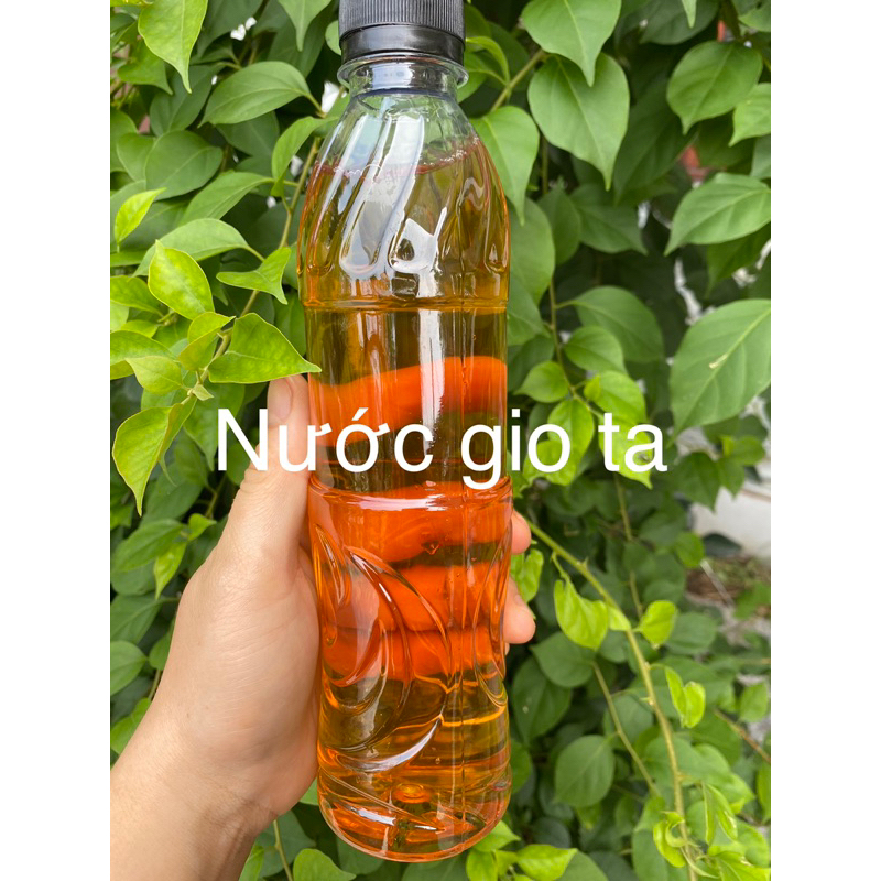 Nước gio ta (tro ta) chưa pha dùng làm bánh tro, bánh ú tro chuẩn ngon ...