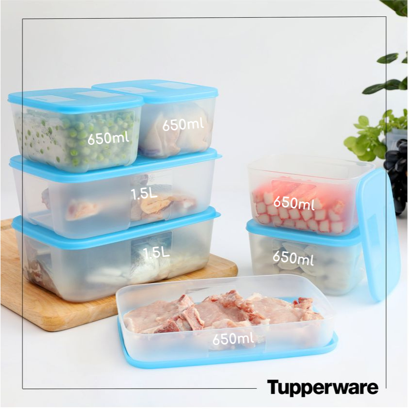 Bộ hộp Trữ đông Freezermate Fit 7 - Tupperware Chính Hãng | Shopee Việt Nam