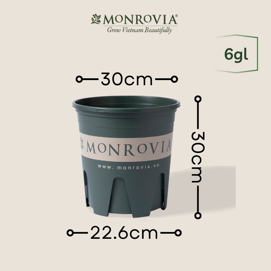 Chậu nhựa chính hãng MONROVIA 6GL-M đáy siêu thoáng | Φ30 | hàng nhập ...