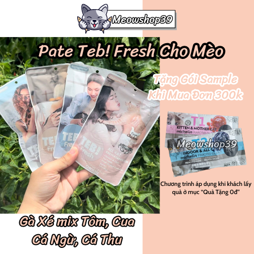 Pate Teb Fresh 80gr - Pate TEB cho Mèo mọi lứa tuổi Tomsmeca | Shopee ...