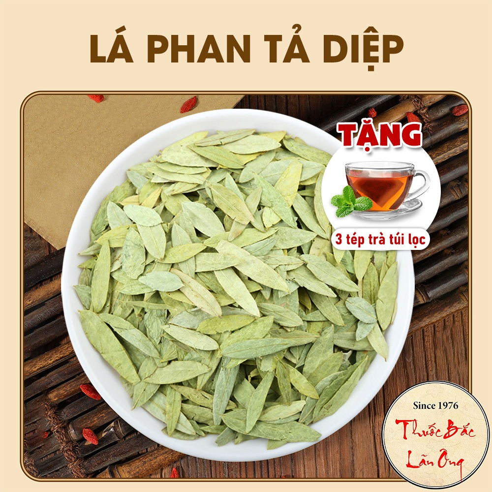 Lá phan tả diệp 1kg, lá xanh thơm, không vụn, hỗ trợ thải độc, ngừa táo ...