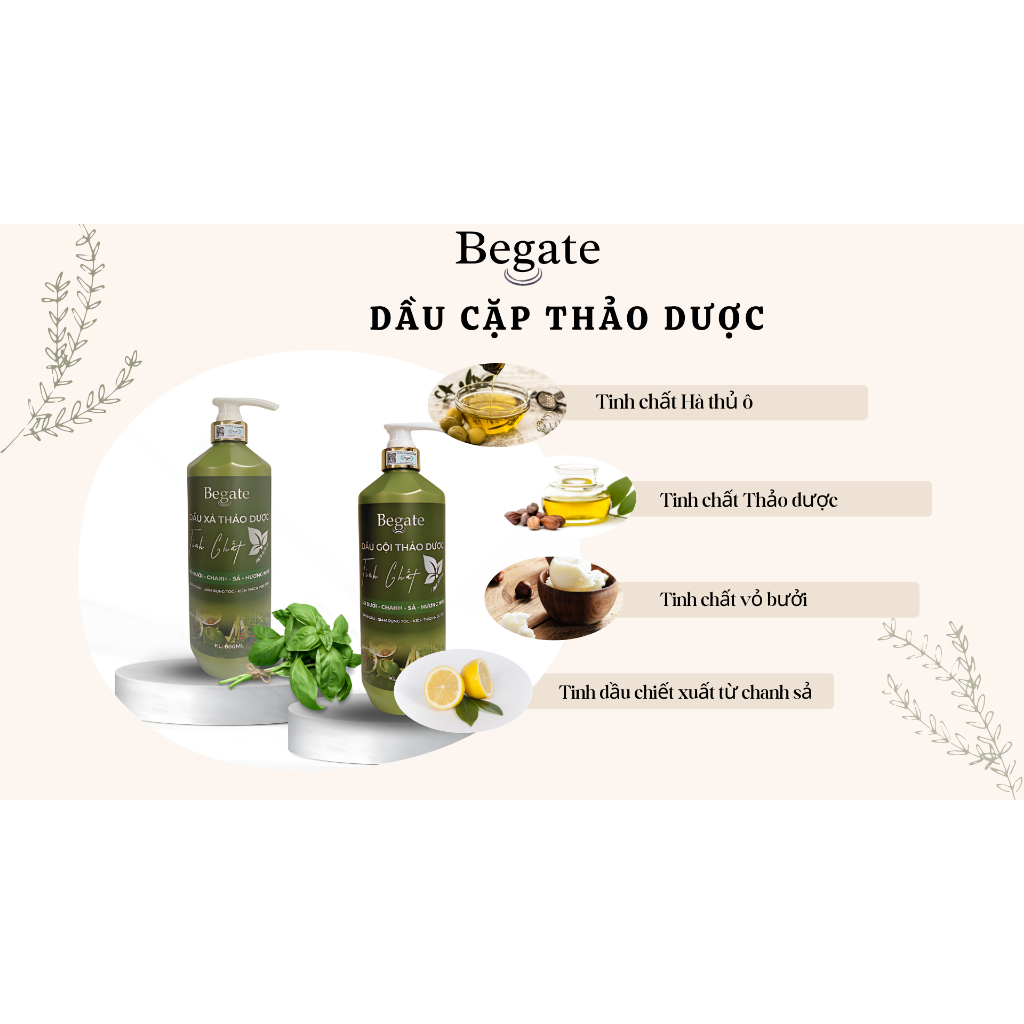 Cặp dầu gội xả thảo dược Begate kích thích mọc tóc 800ml | Shopee Việt Nam