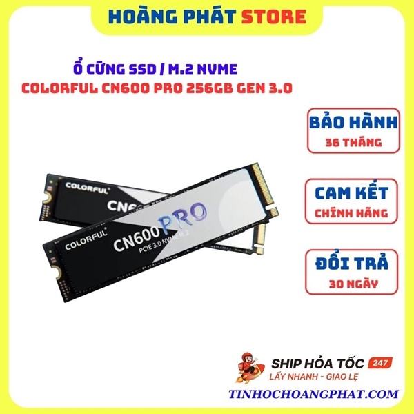 Ổ Cứng NVMe COLORFUL CN600 256GB [Hộp Lớn 20 SSD] | Shopee Việt Nam