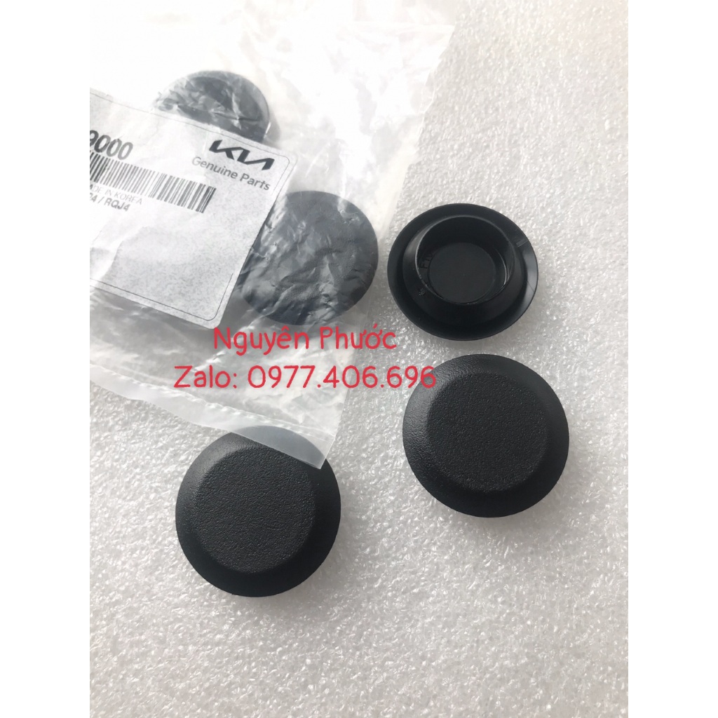 Nút nhựa bịt lỗ cánh cửa & sườn xe babule [Size Bịt lỗ 23mm] KIA ...