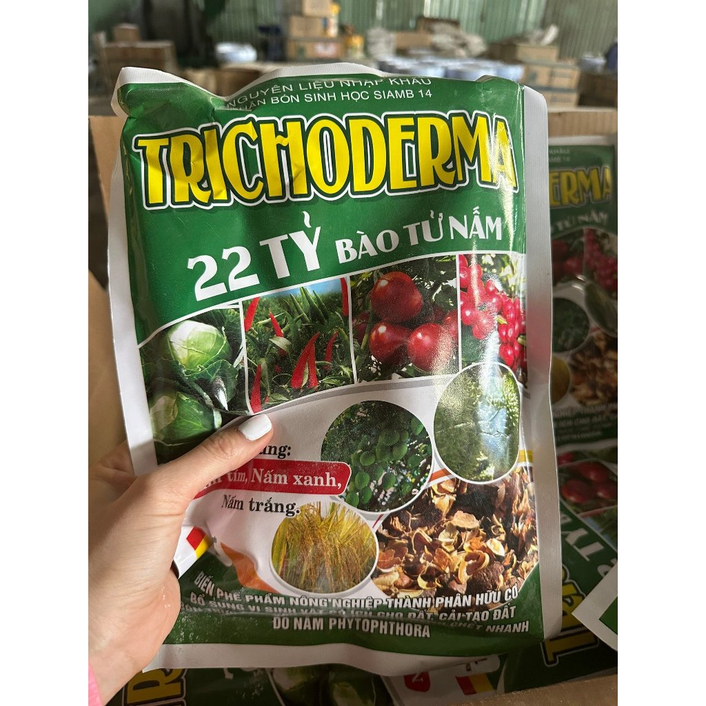 Chế Phẩm Vi Sinh Nấm TRICHODERMA - Chứa 22 tỷ Bào Tử - Bột Hào Tan ...