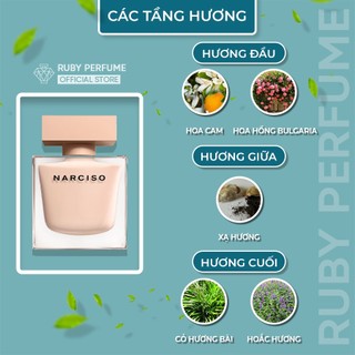 Nước Hoa Nữ Narciso Ambree Cam Lùn, Narciso Poudree Hồng Lùn, Narciso ...