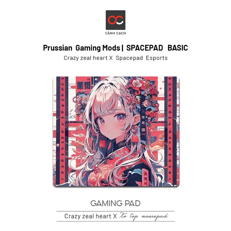 Lót Chuột SpacePad Prussian chính hãng (CONTROL) | Shopee Việt Nam