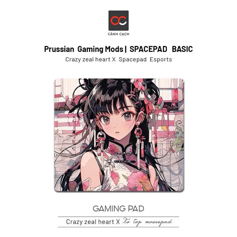 Lót Chuột SpacePad Prussian chính hãng (CONTROL) | Shopee Việt Nam