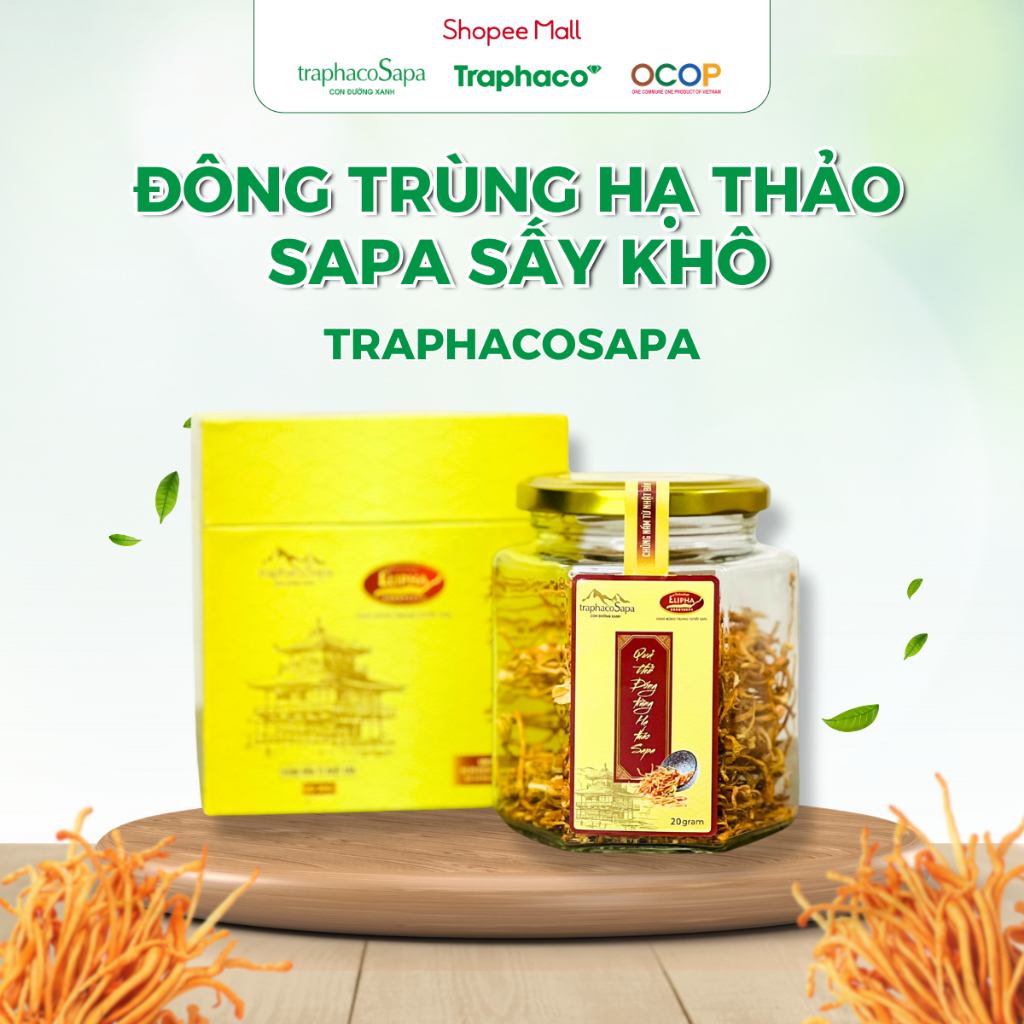 Đông Trùng Hạ Thảo Sấy Khô Sapa TRAPHACOSAPA OCOP 4 Sao Tăng Hệ Miễn ...