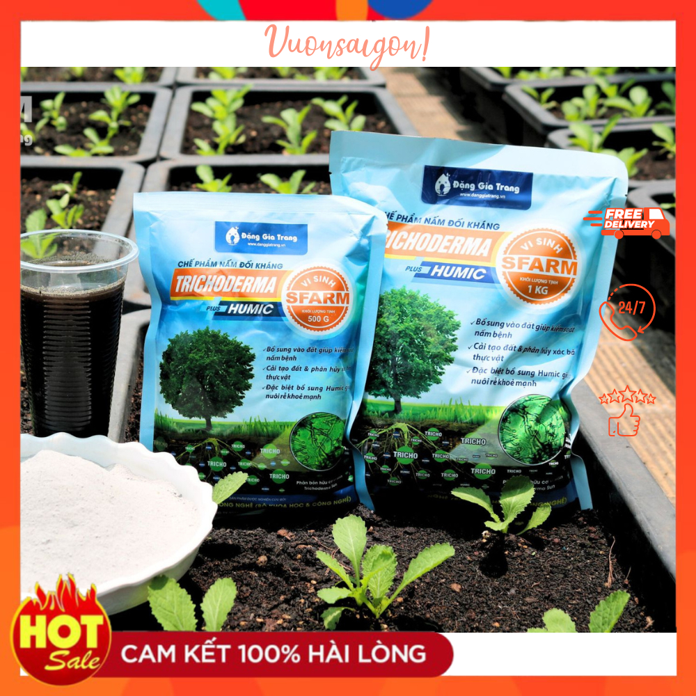 Trichoderma Plus Humic Nấm Đối Kháng SFARM Phòng Ngừa Các Bệnh Nấm Ngừa ...