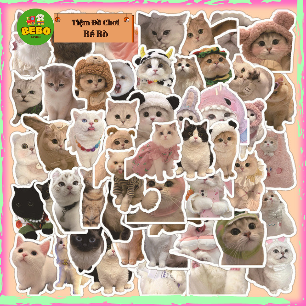 SET 50 tấm sticker MÈO meme SIZE LỚN không trùng, dễ thương, MÈO, và ...