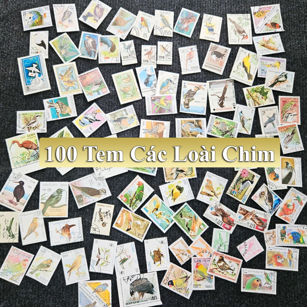 100 Con Tem Về Chủ Đề Loài Chim - Tem Sưu Tập Quốc Tế | Shopee Việt Nam