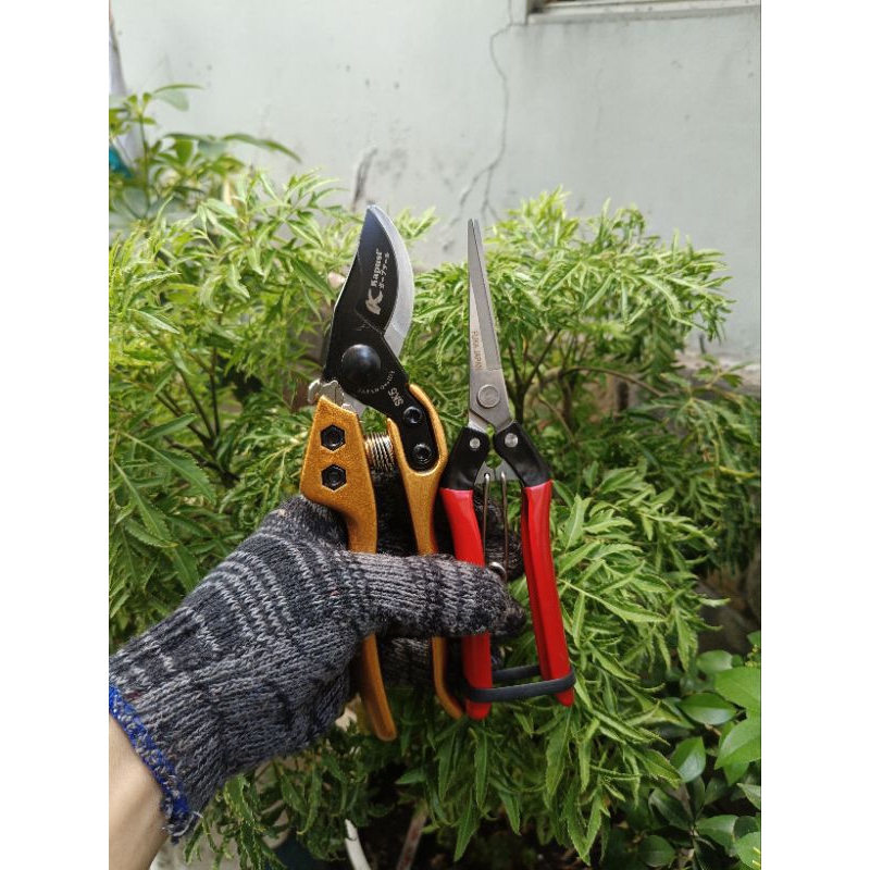 Combo 2 kéo cắt cành và tỉa lá hàng chính hãng K-8642 | Shopee Việt Nam