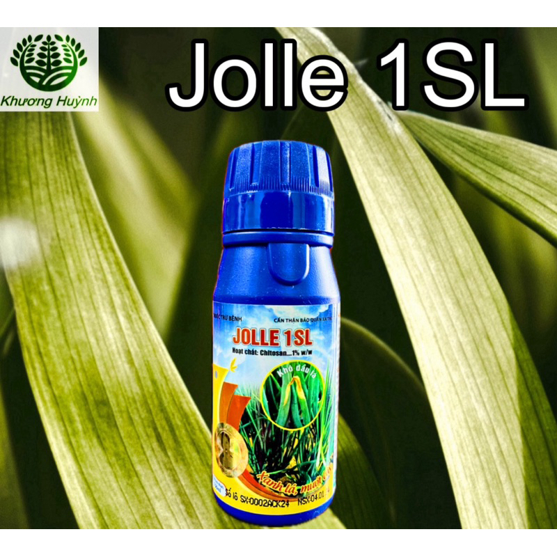 Jolle 1SL - Phòng Ngừa Khô Đầu Lá Cây Hành - Vàng Chóp Lá Cây Hành ...