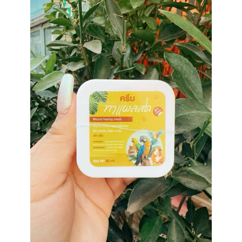 KEM CẦM MÁU , GIÚP VẾT THƯƠNG MAU HỒI PHỤC CHO CHIM VẸT - WOUND HEALING ...
