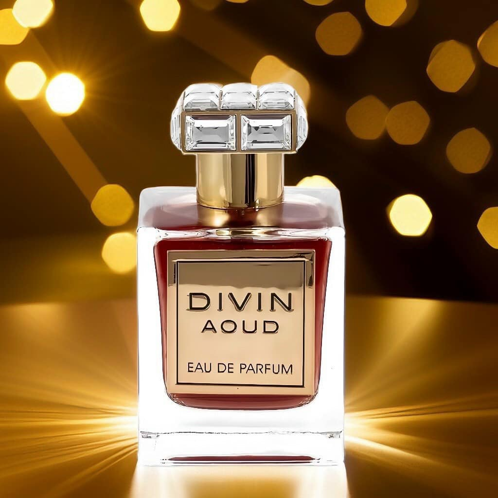 Nước hoa unisex Divin Aoud Quyến rũ, Bí ẩn Chính Hãng - Vin Perfume ...