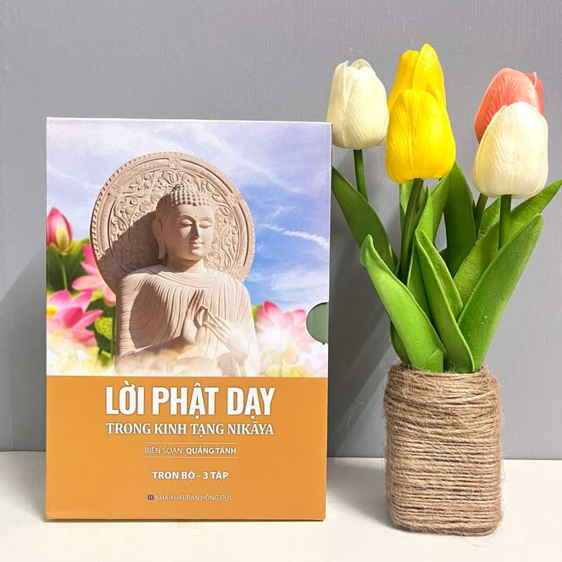 Sách - Lời Phật Dạy Trong Kinh Tạng NIKAYA (Trọn Bộ 3 Tập) | Shopee ...