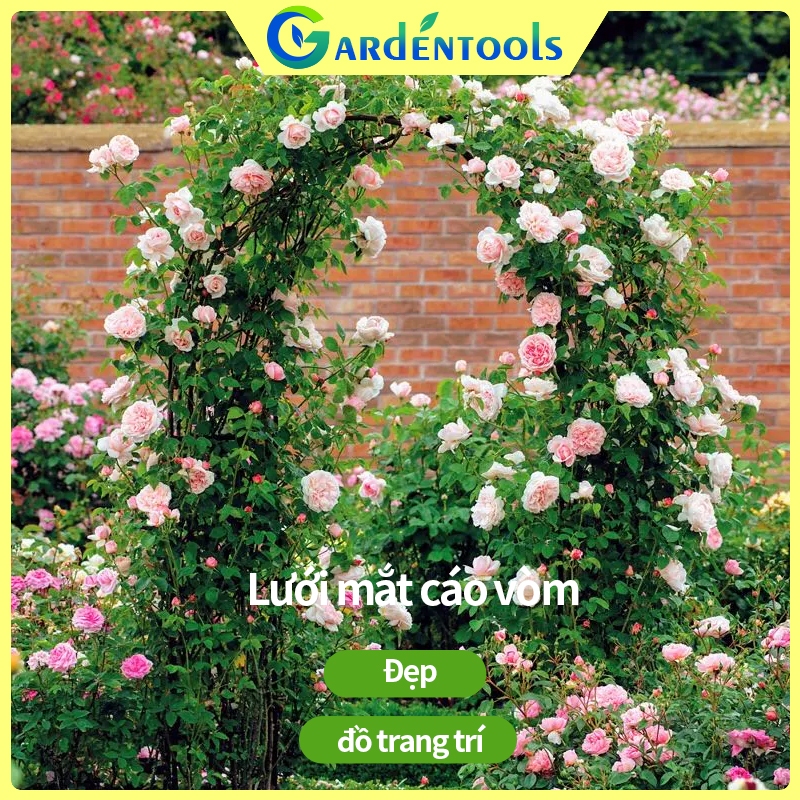 Đám cưới làm vườn vòm cây leo núi khung nho sân ngoài trời | Shopee ...