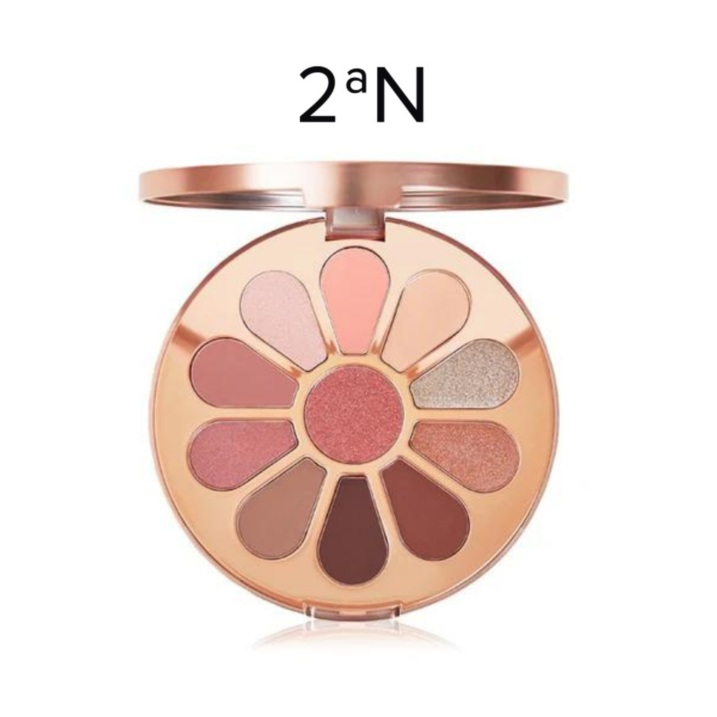 [Mỹ phẩm Hàn Quốc] Bảng phấn mắt makeup chuyên nghiệp 2aN Eyeshadow ...