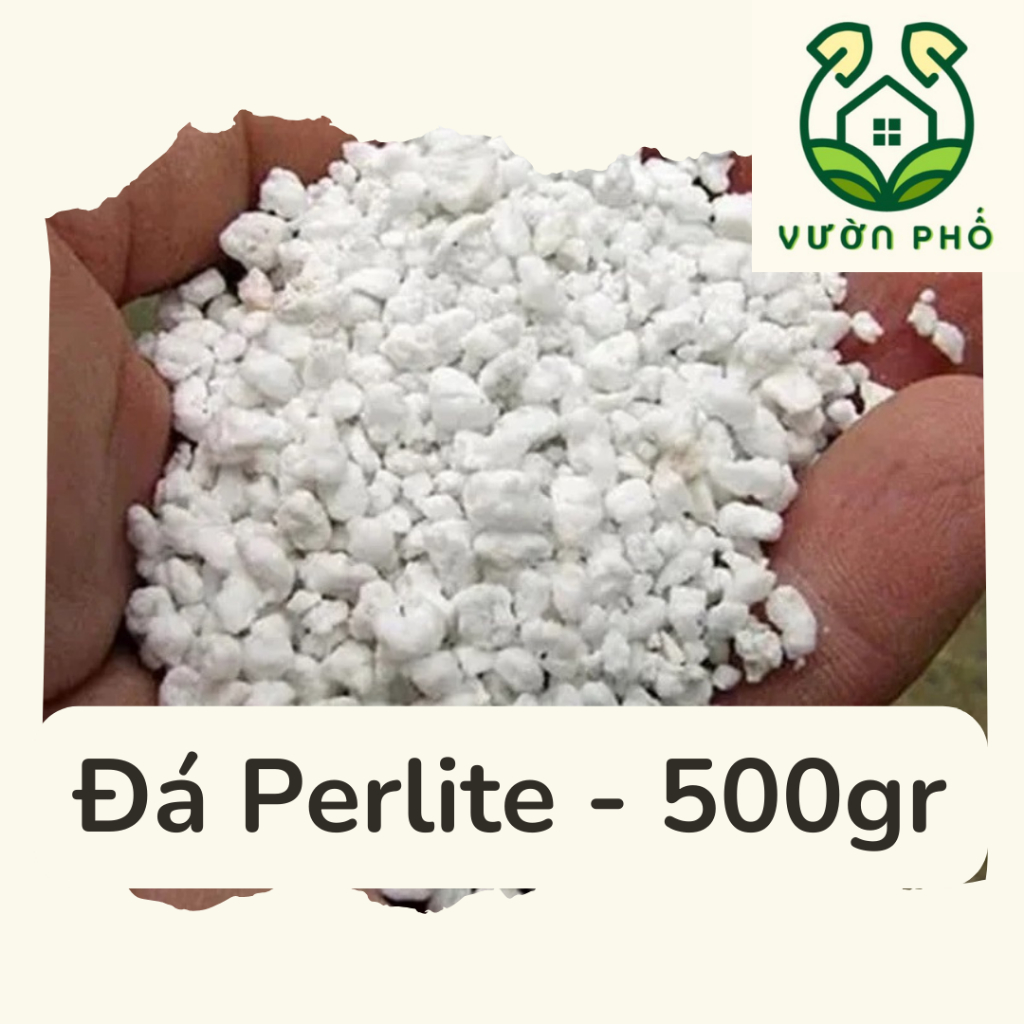 Đá Perlite - 500gr - Đất trồng sen đá | Shopee Việt Nam