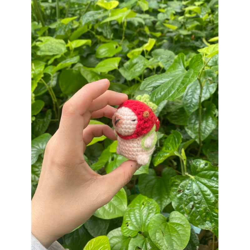 Capybara handmade bằng len | Shopee Việt Nam