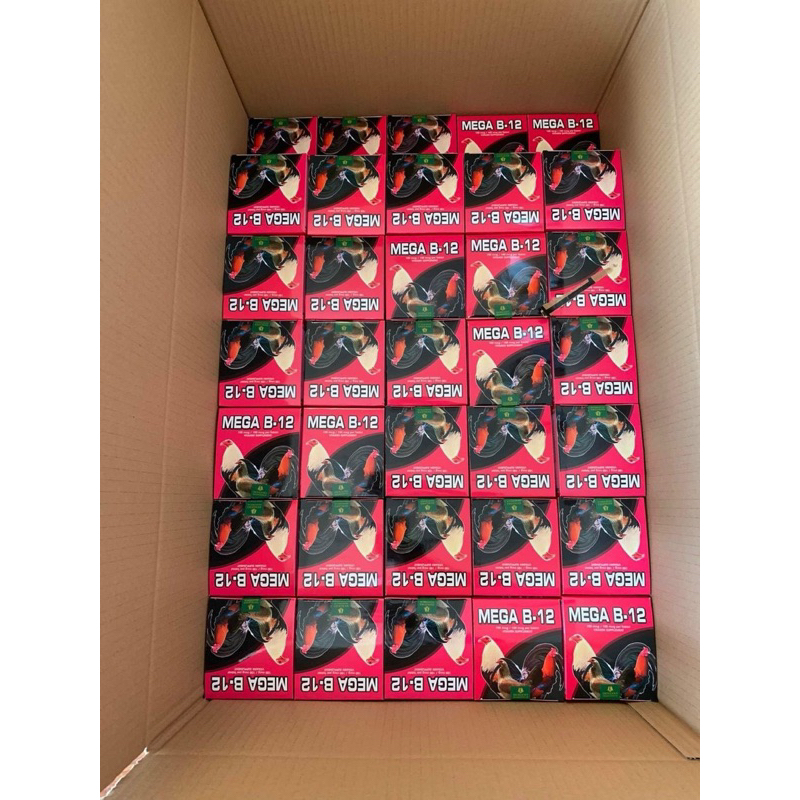 mega b12 (1hop 10 vĩ) Excellence | Shopee Việt Nam