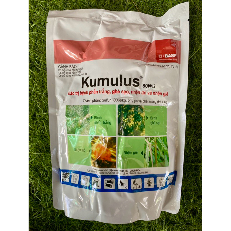KUMULUS 80WG | Gói 1Kg | Phòng trừ nhện đỏ, bệnh ghẻ sẹo. | Shopee Việt Nam