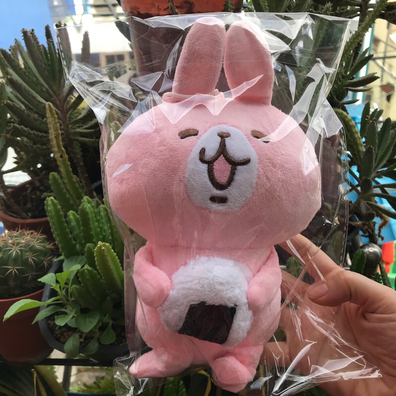 Gấu bông vịt Piske & thỏ hồng Usagi (2hand) | Shopee Việt Nam