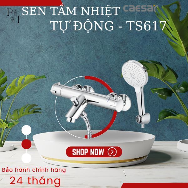 Sen Nhiệt Độ TS617 3 Chế Độ | Shopee Việt Nam
