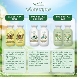 Dầu gội Bưởi non, Dầu xả bưởi non kích thích mọc tóc, ngăn ngừa tóc gãy rụng | Sovena Natural ...