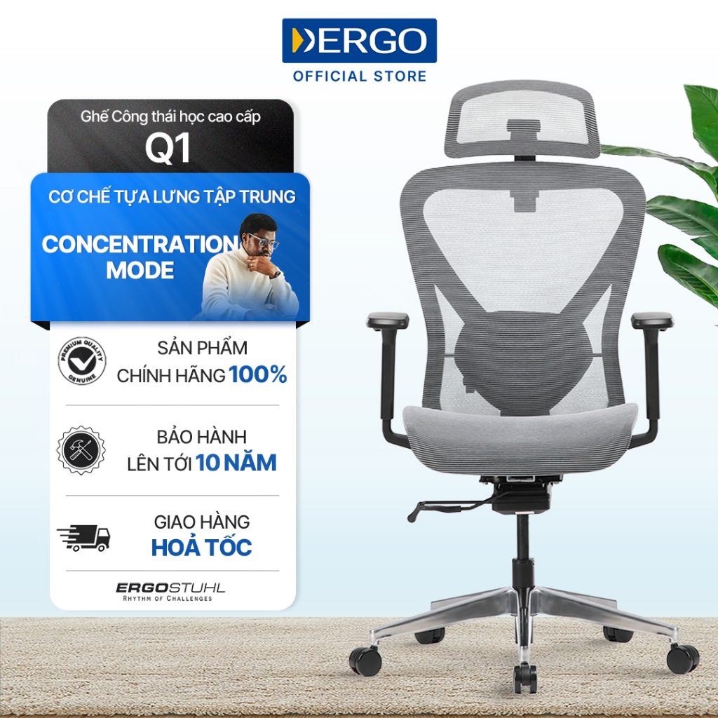 Ghế Công Thái Học DERGO Ergostuhl Q1 | Shopee Việt Nam