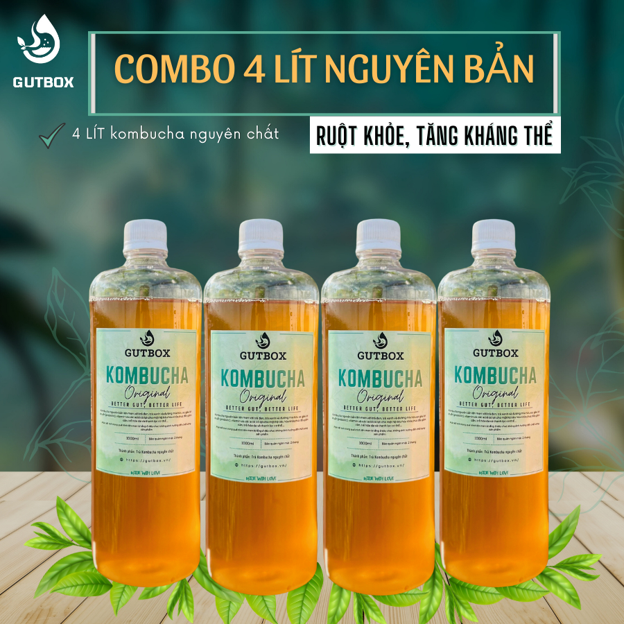 Combo 4 Lít Kombucha Nguyên Bản (nguyên chất) | Shopee Việt Nam