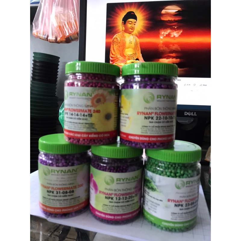 Combo bộ phân tan chậm thông minh rynal các giai đoạn cho hoa Lan Hồng ...
