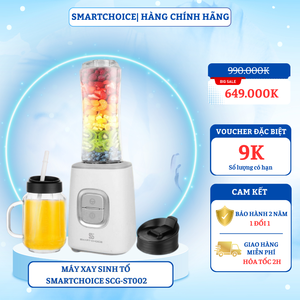 Máy Xay Sinh Tố SmartChoice SCG-ST002, Máy Xay Đa Năng 300W 600ml Có ...