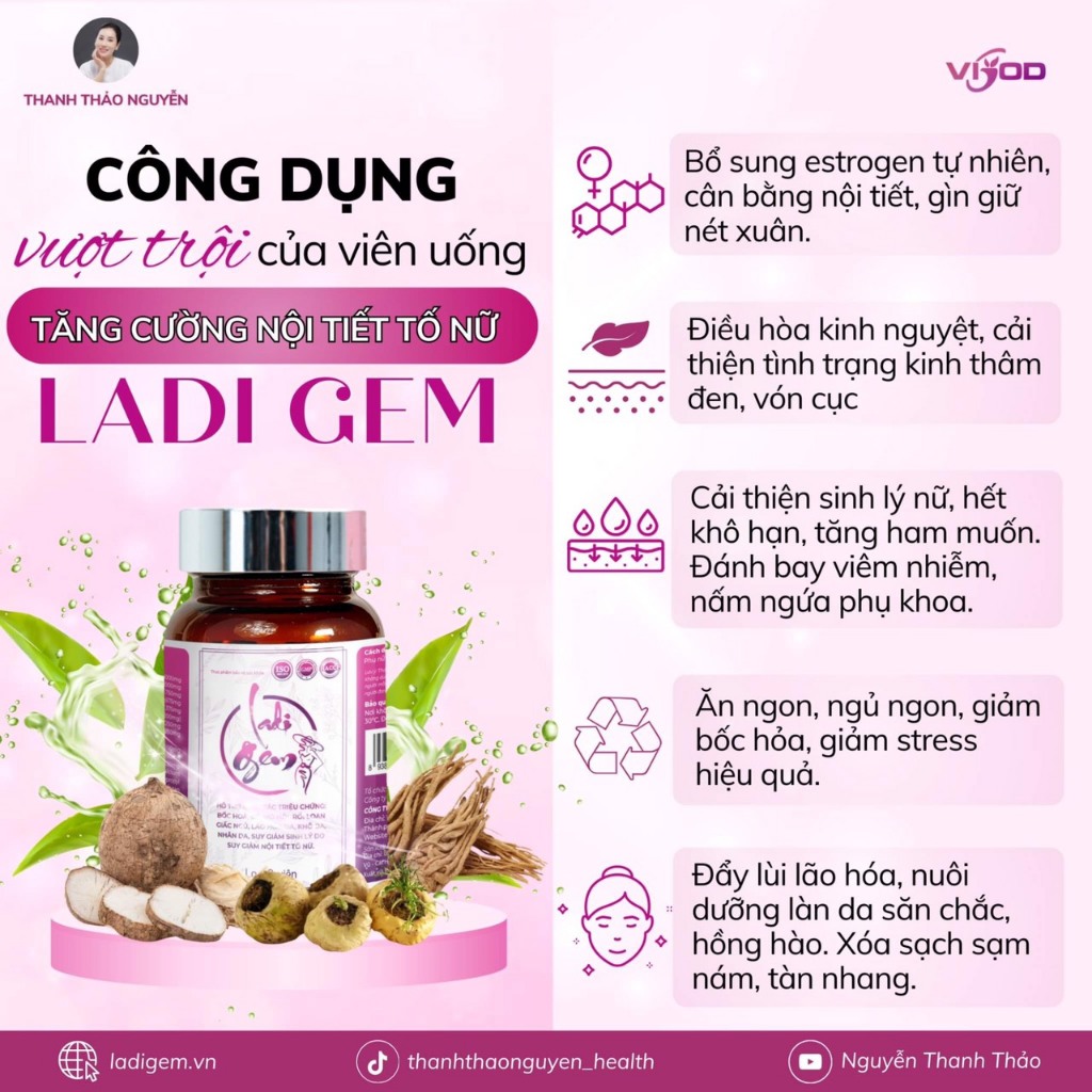 Ladi Gem- Hộp 60 viên | Shopee Việt Nam