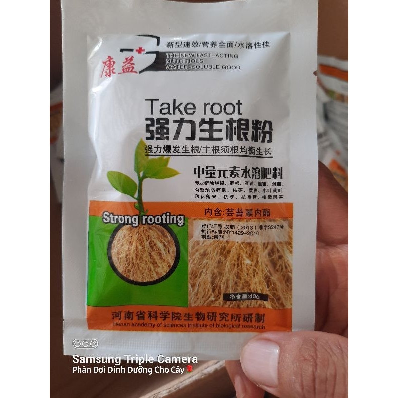 Kích Rễ Takeroot nhập Trung(gói 40gram) | Shopee Việt Nam