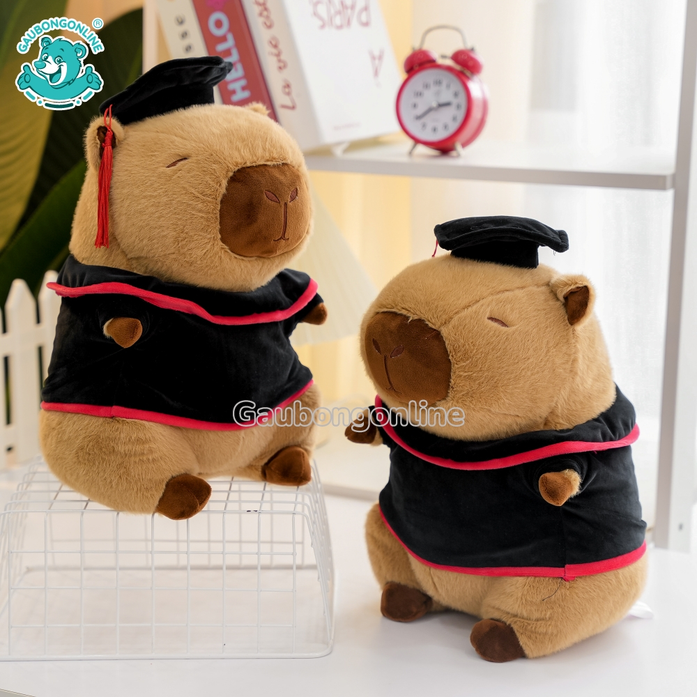 Gấu Bông Tốt Nghiệp Hoạt Hình Gấu Bông Online Capybara Loopy Doraemon ...