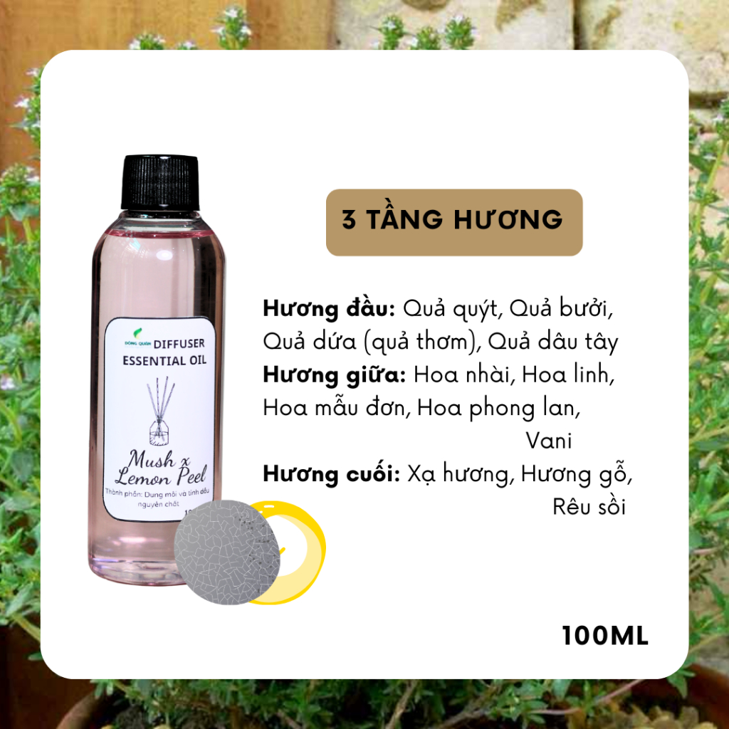 Chai REFILL tinh dầu tán hương 100ml, Có 9 Mùi Hương, Tặng Kèm Que ...