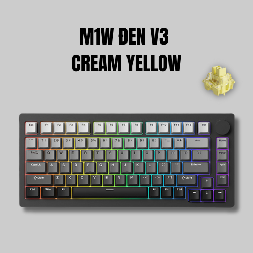 [HÀNG SẴN] Bàn phím cơ MonsGeek M1W / M1W SP không dây 3 mode, vỏ nhôm ...